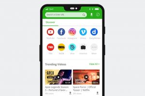Flash Video Downloader: Only 2 Steps to Grab Videos
