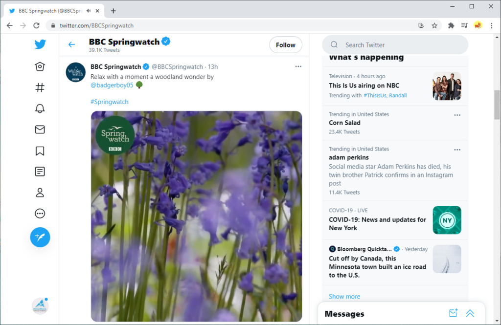 How to Save Twitter Videos on PC (No Intrusive Ads)