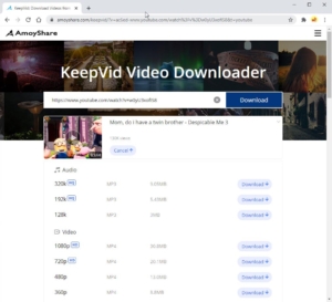 Is KeepVid Safe | KeepVid Review & KeepVid Download
