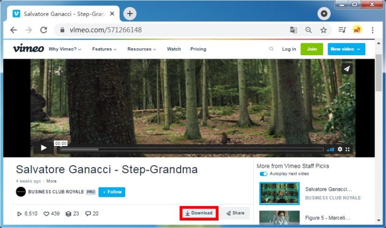 How to Download from Vimeo: A Complete Guide 2024