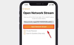 [Top 4 Easy-to-use Methods] How to Play WebM on iPhone
