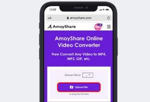 [Top 4 Easy-to-use Methods] How to Play WebM on iPhone