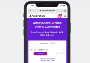 [Top 4 Easy-to-use Methods] How to Play WebM on iPhone