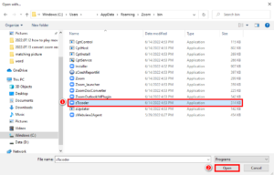 How to Convert Zoom Recordings to MP4? [2024 Newest Guide]