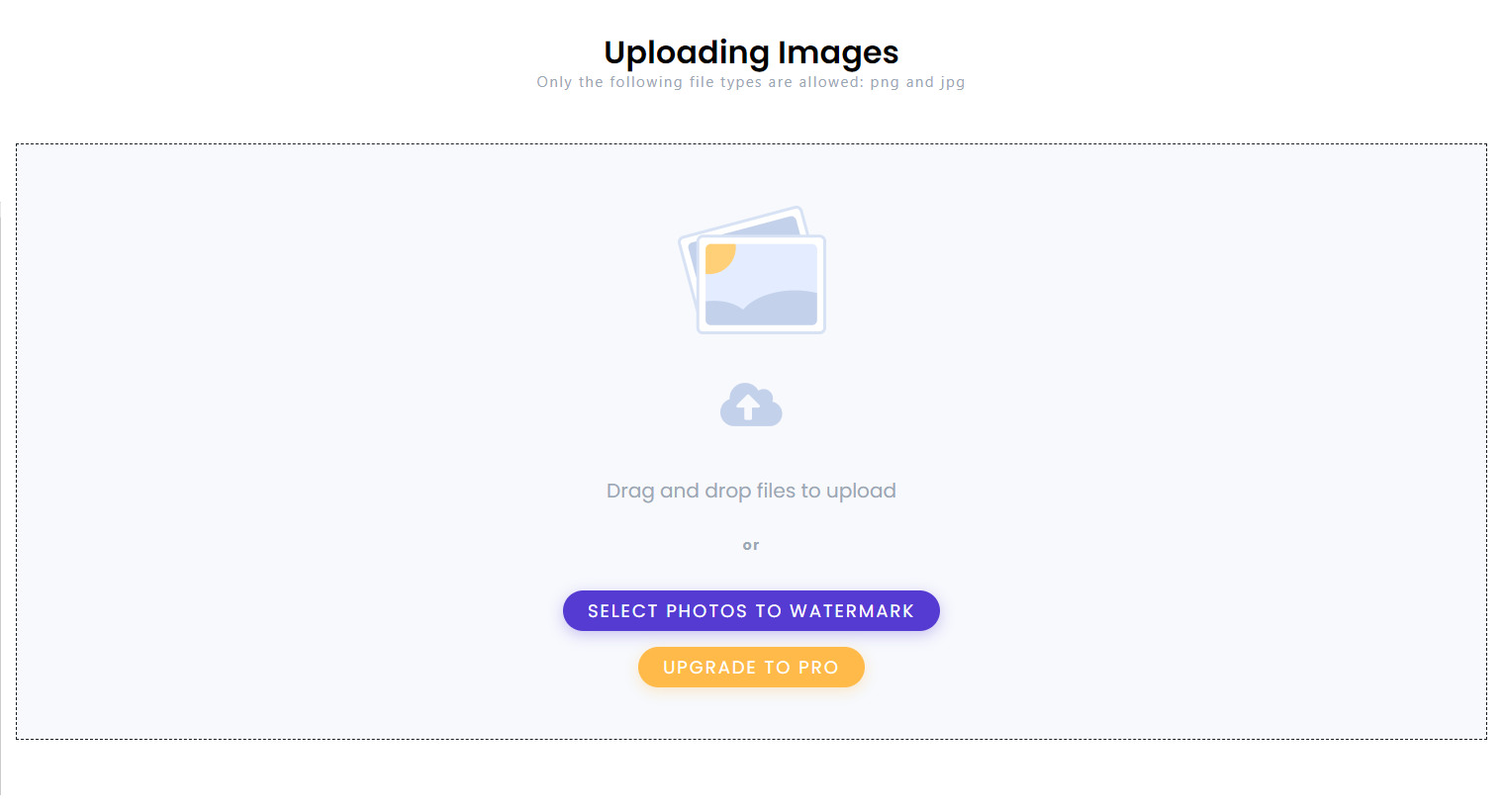 10 Best Software to Watermark 2024 [Pros & Cons]
