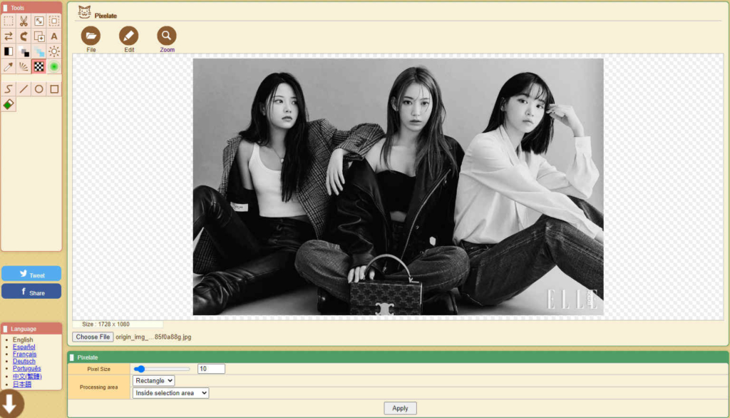 How to Pixelate Image (Step by Step Guide)