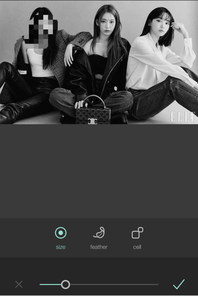 How to Pixelate Image (Step by Step Guide)