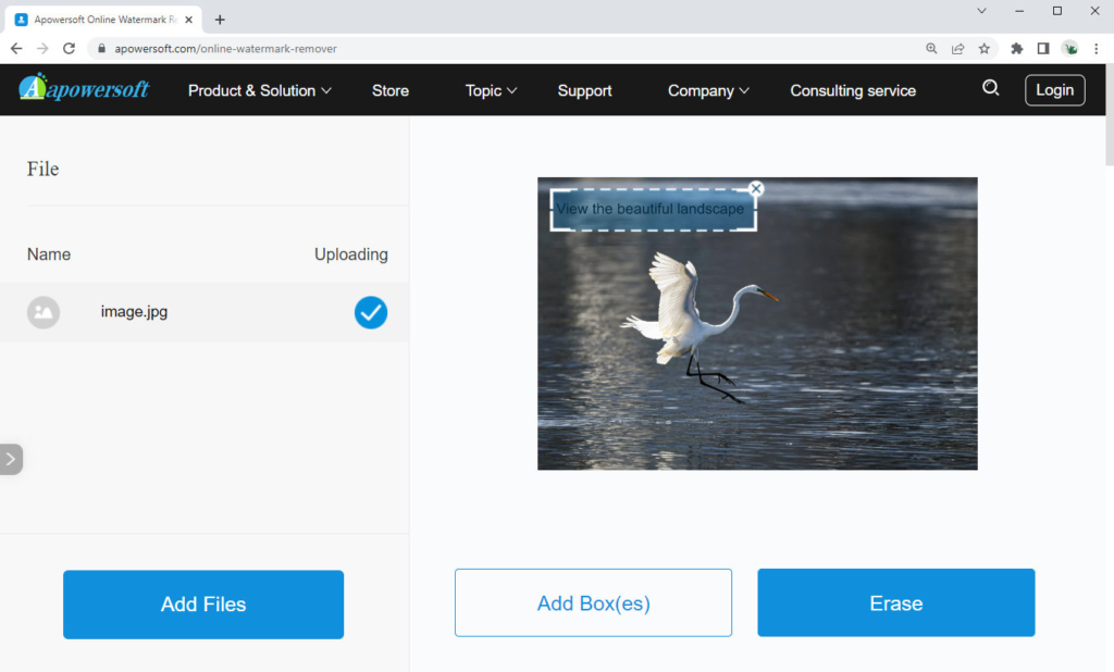 How to Remove Watermark from Photos on PC/Mac/Phone 2024