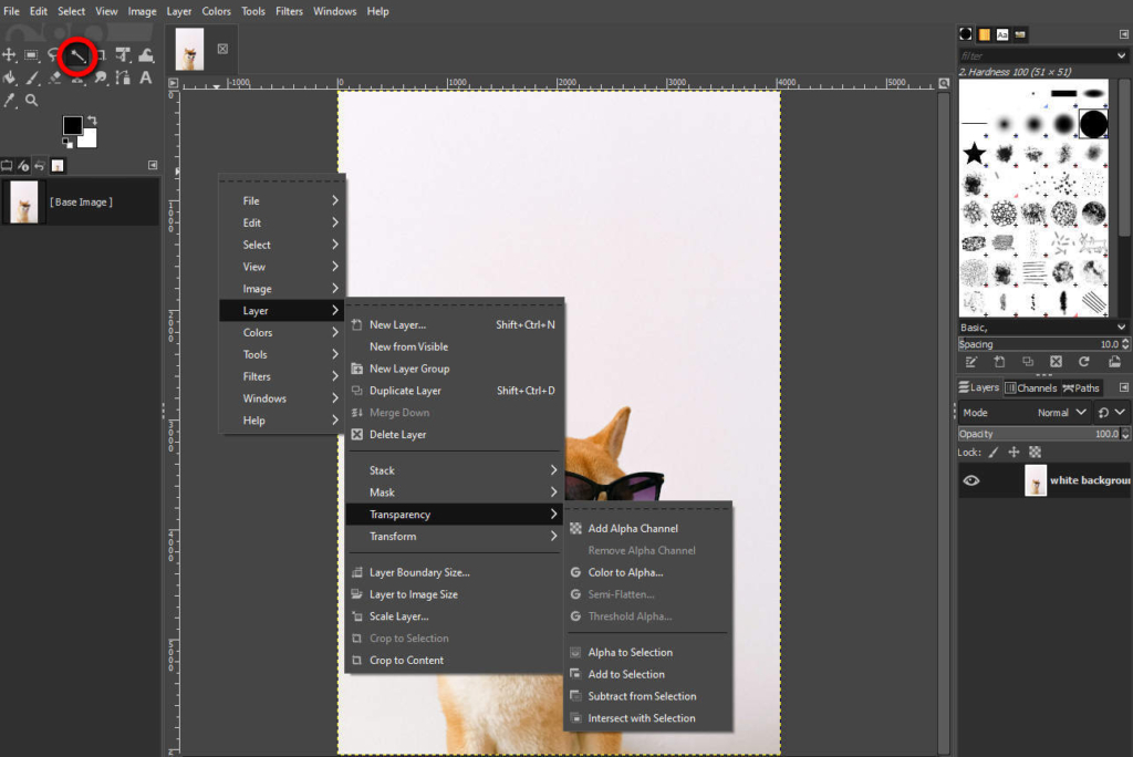 GIMP Usuń tło - 5 rozwiązań z szybkimi krokami