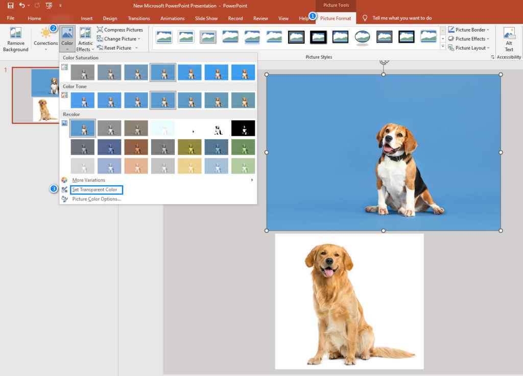 PowerPoint에서 그림에서 배경을 제거하는 방법?
