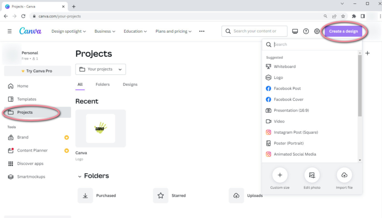 How to Get Canva Transparent Background | Work Like a Pro