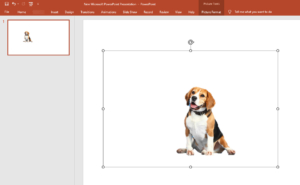 ¿Cómo quitar el fondo de la imagen en PowerPoint?