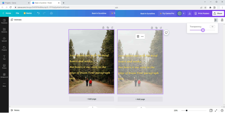 Comment obtenir un fond transparent Canva | Travaillez comme un pro