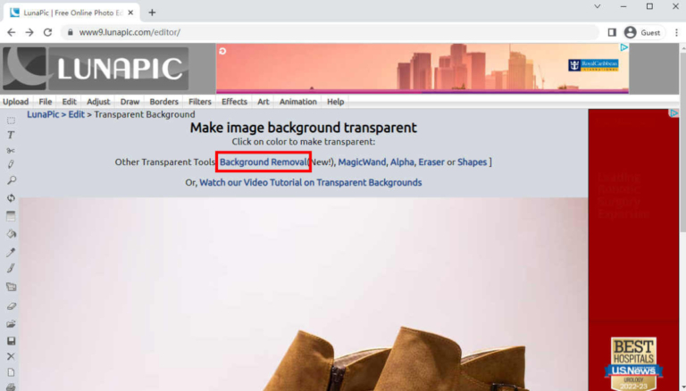 LunaPic Transparent Review: Make Transparent BG Easily