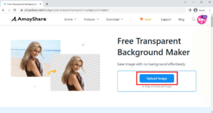 LunaPic Transparent Review: Make Transparent BG Easily