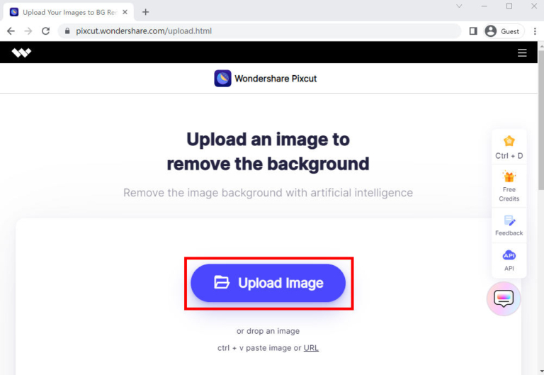 Best Ways to Convert JPG to PNG Transparent Online