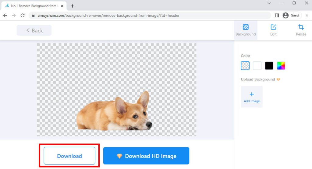 How to Remove White Background in Photoshop? [Solved]