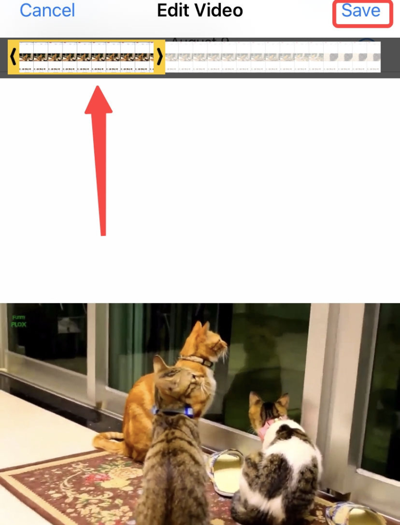 4 Elite Tools to Convert Video to GIF for iPhone
