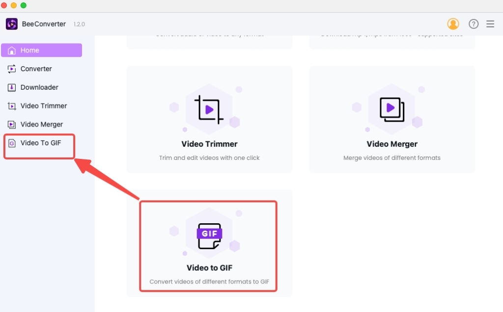 4 Elite Tools to Convert Video to GIF for iPhone